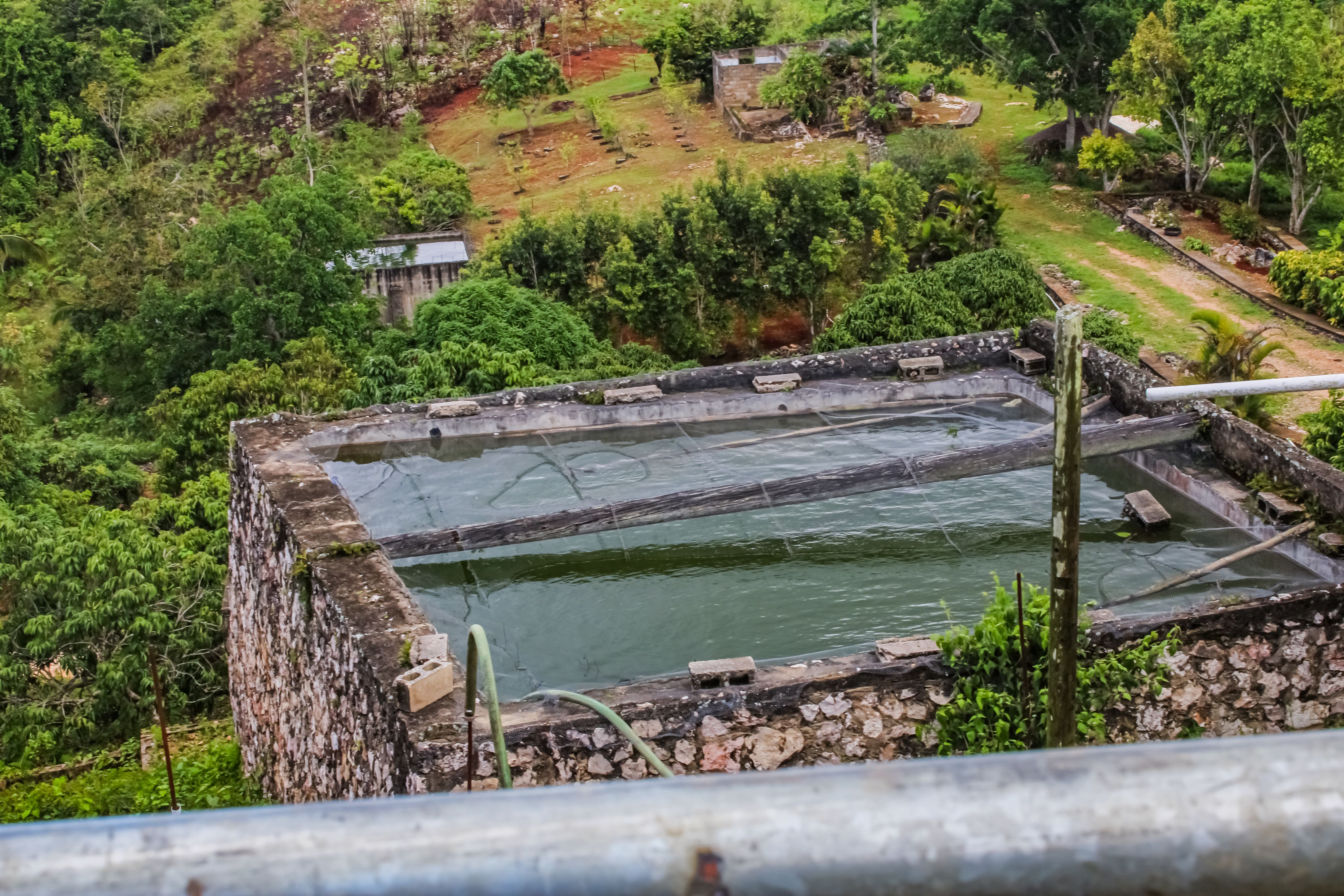 Finding community through land ownership at Kindred on the Rock ...