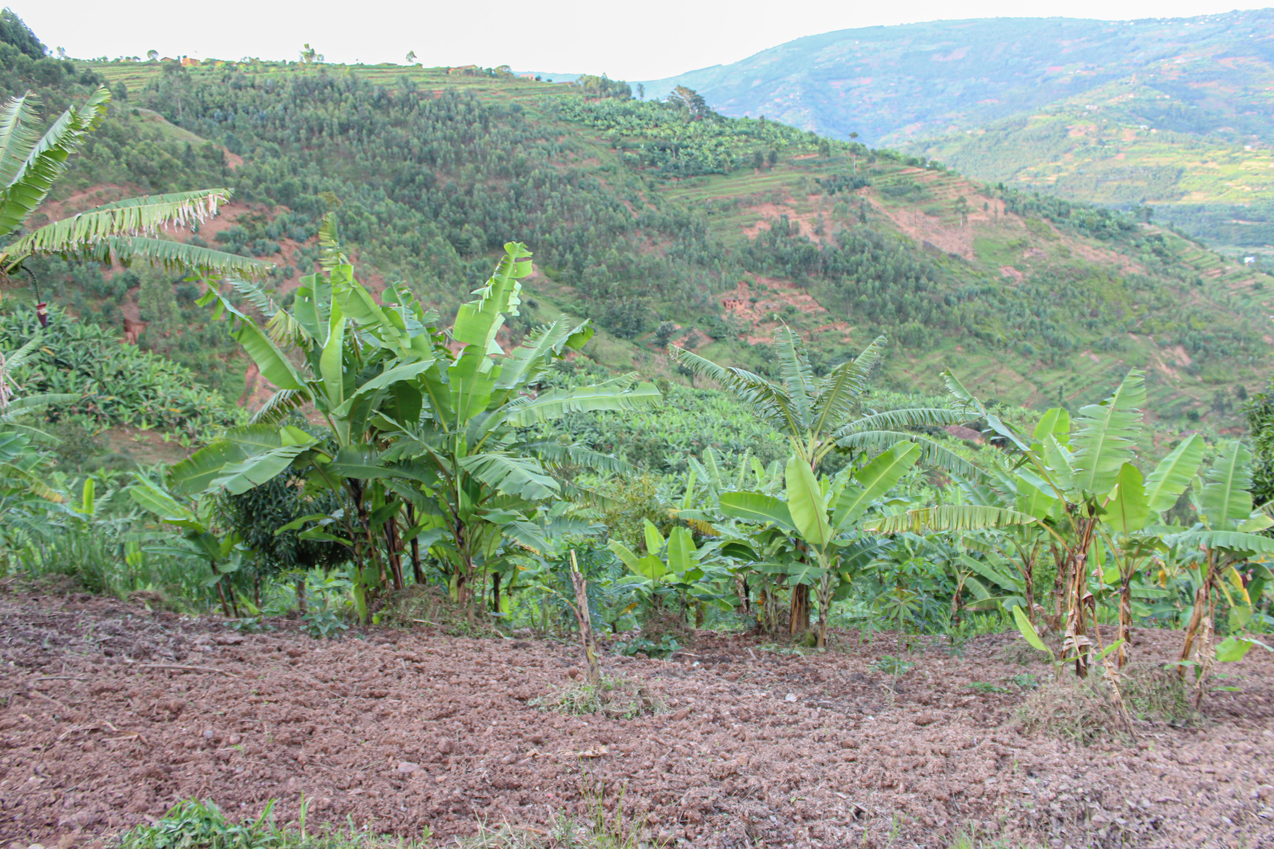 He was a well off farmer, thriving in farming and business when a ...