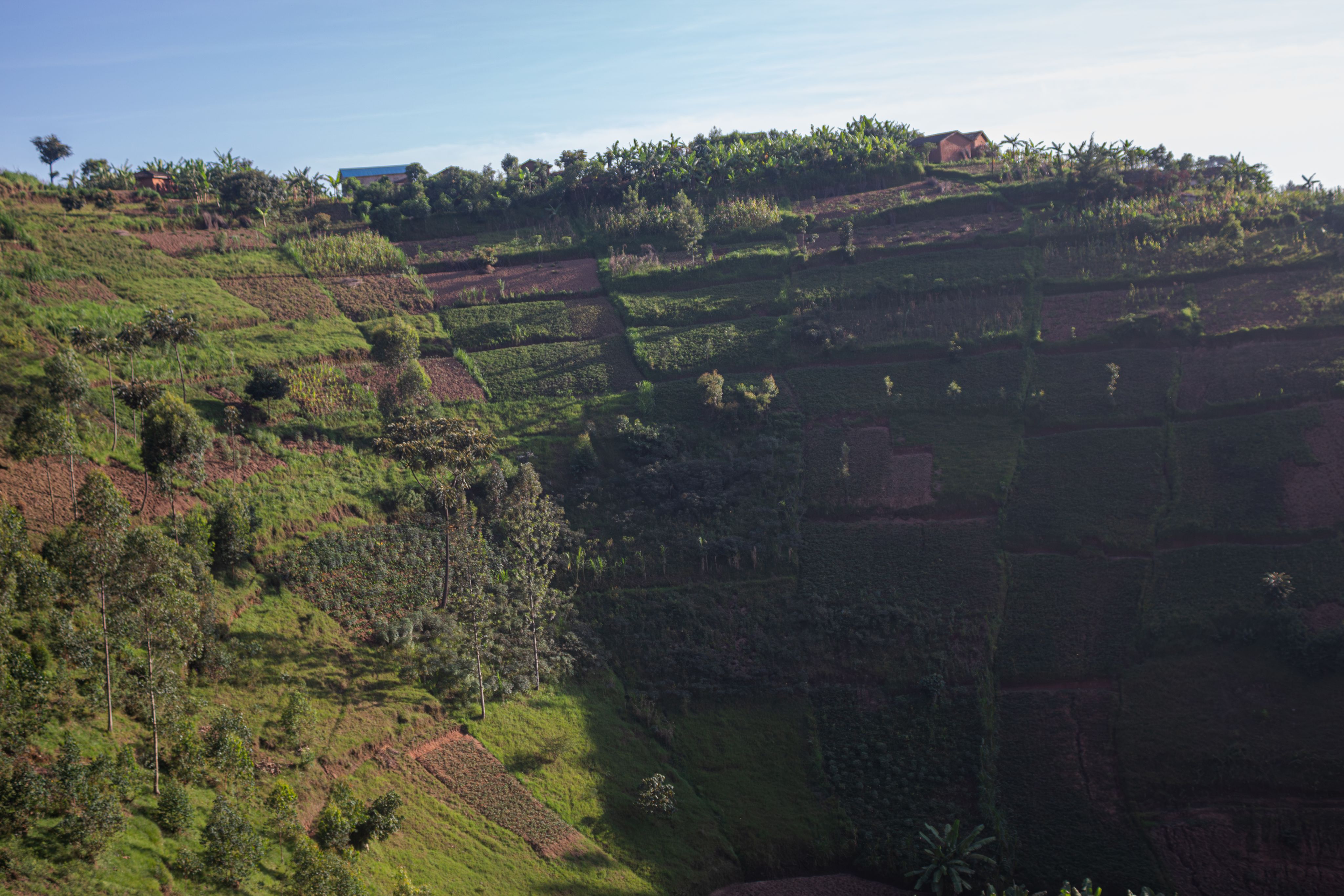 Her trade and livelihood were severely threatened by soil erosion. But a new government plot and ...