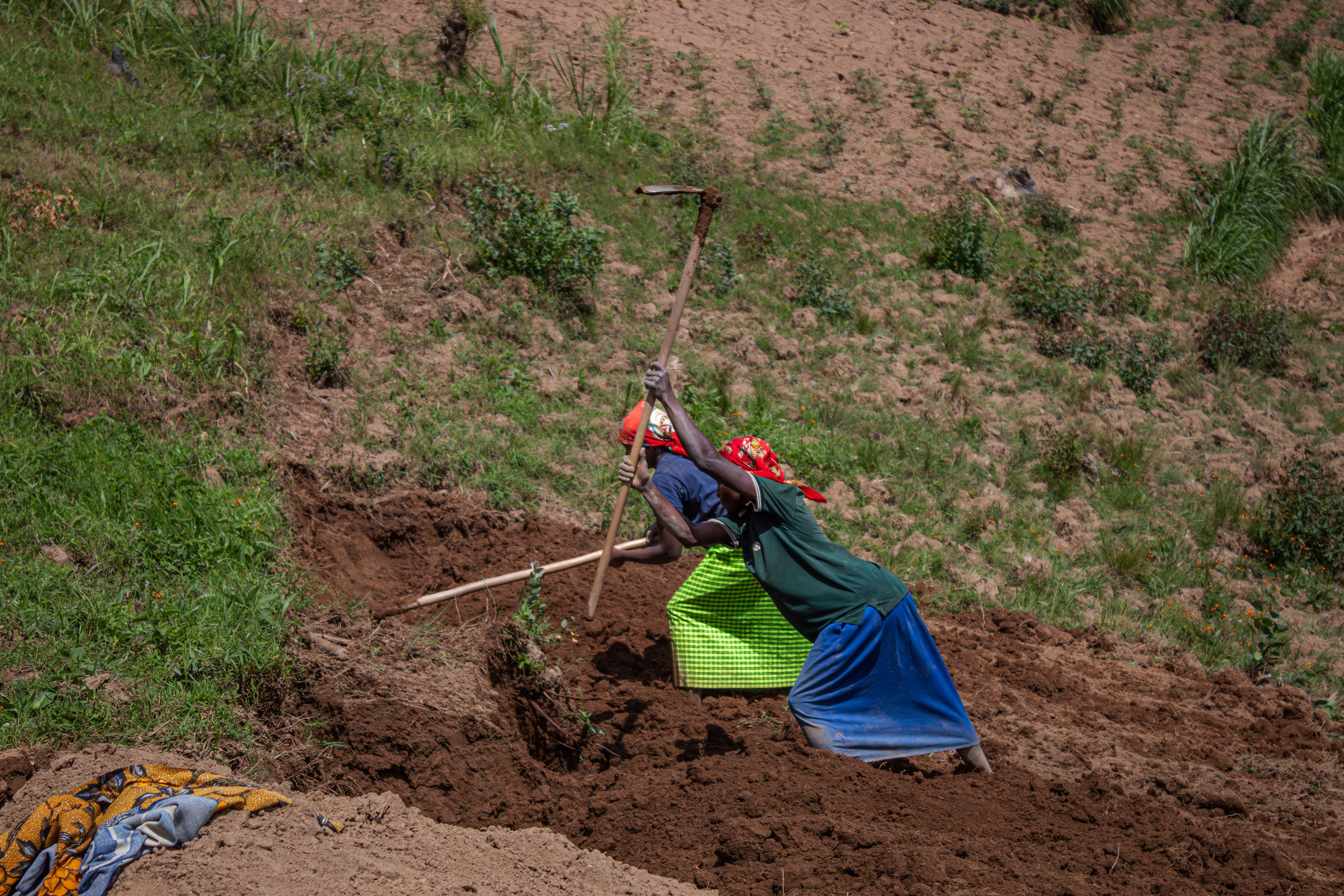 Her trade and livelihood were severely threatened by soil erosion. But ...