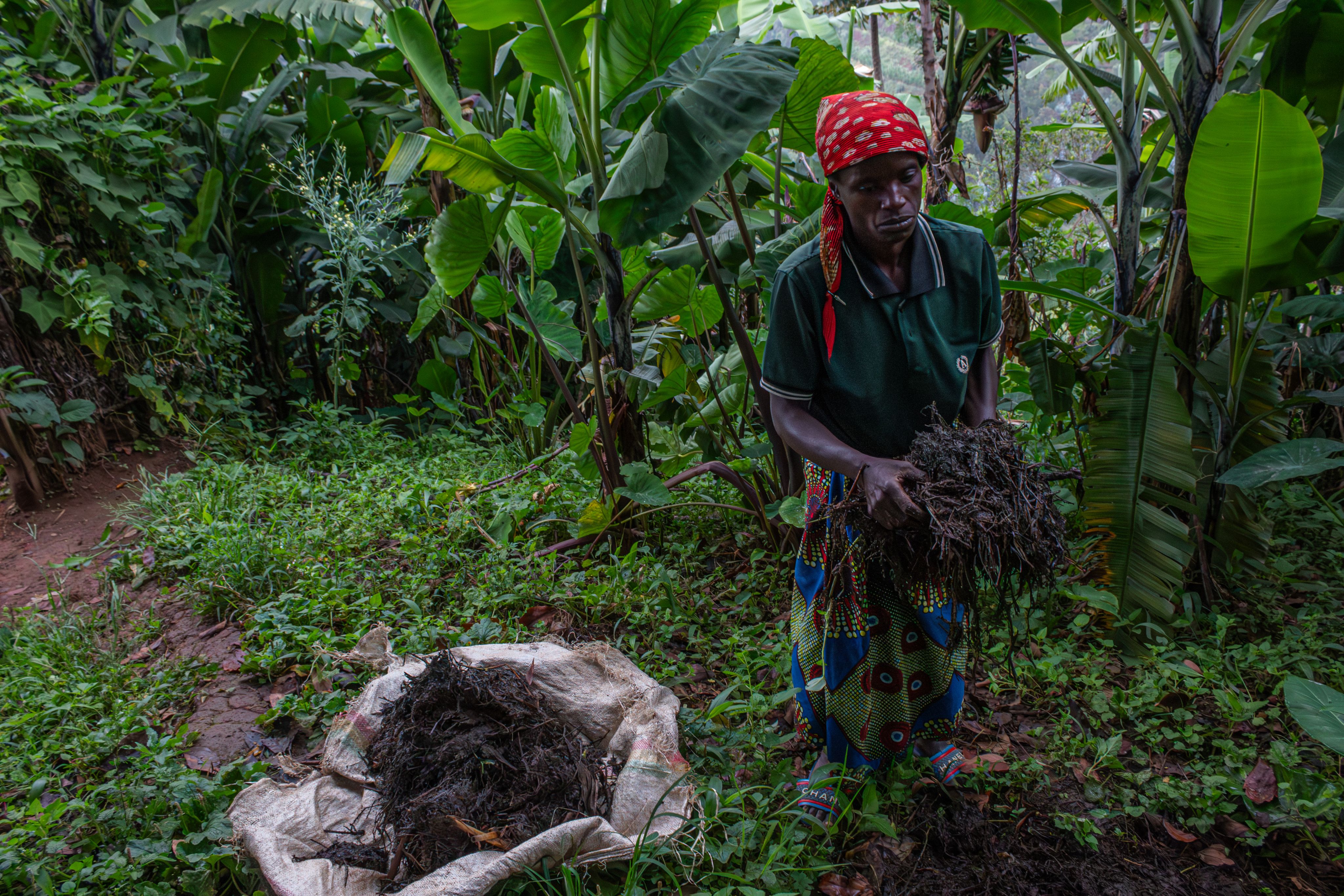 Her trade and livelihood were severely threatened by soil erosion. But ...
