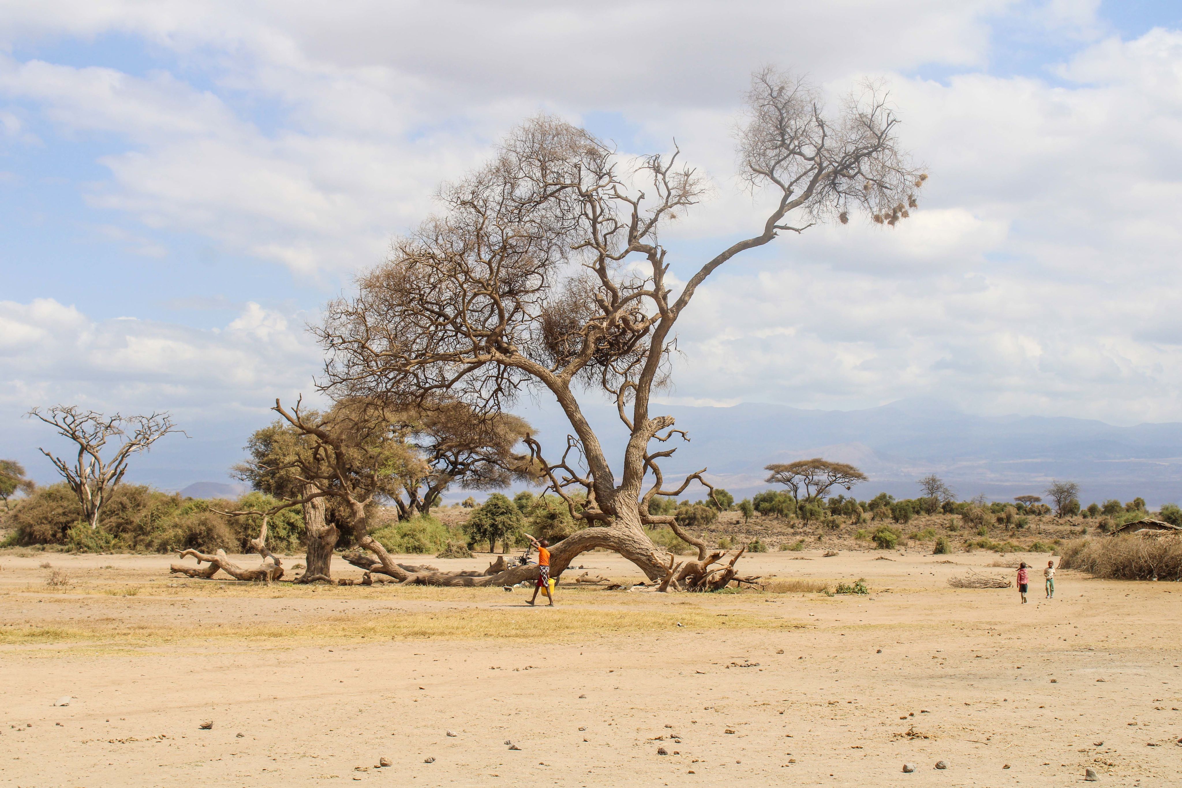 A teachers account of drought - Lensational