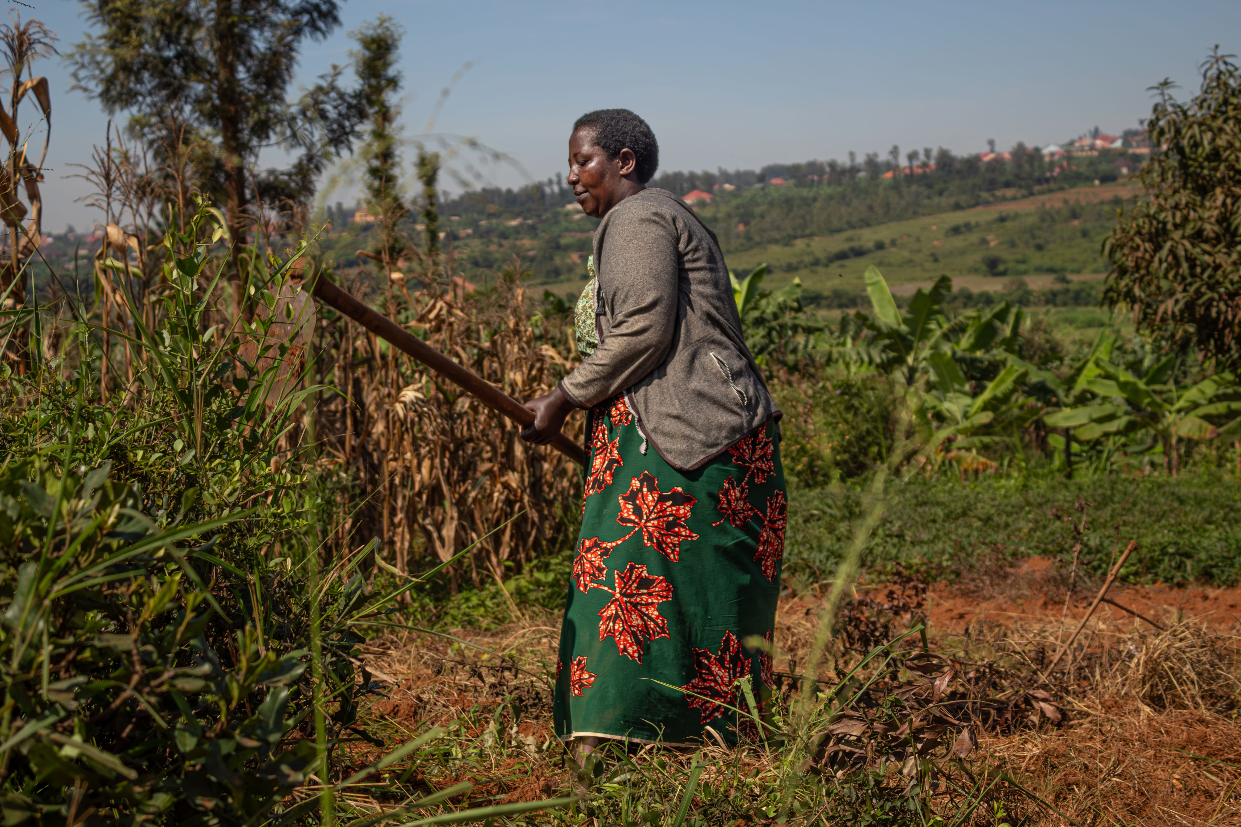 In search of water in Rwanda Bugesera: Clementine Murekeyosi’s story ...