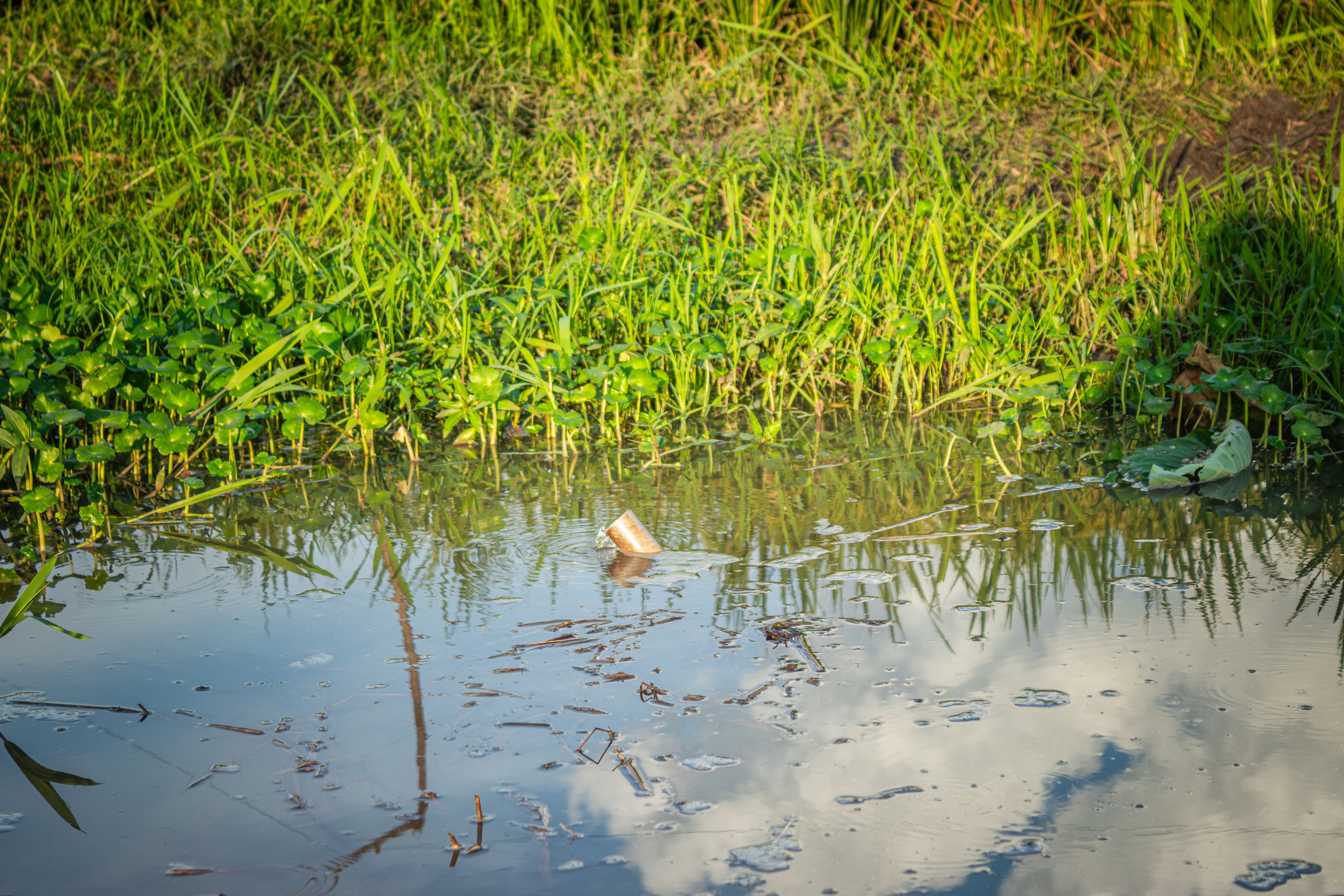 In search of water in Rwanda Bugesera: Clementine Murekeyosi’s story ...