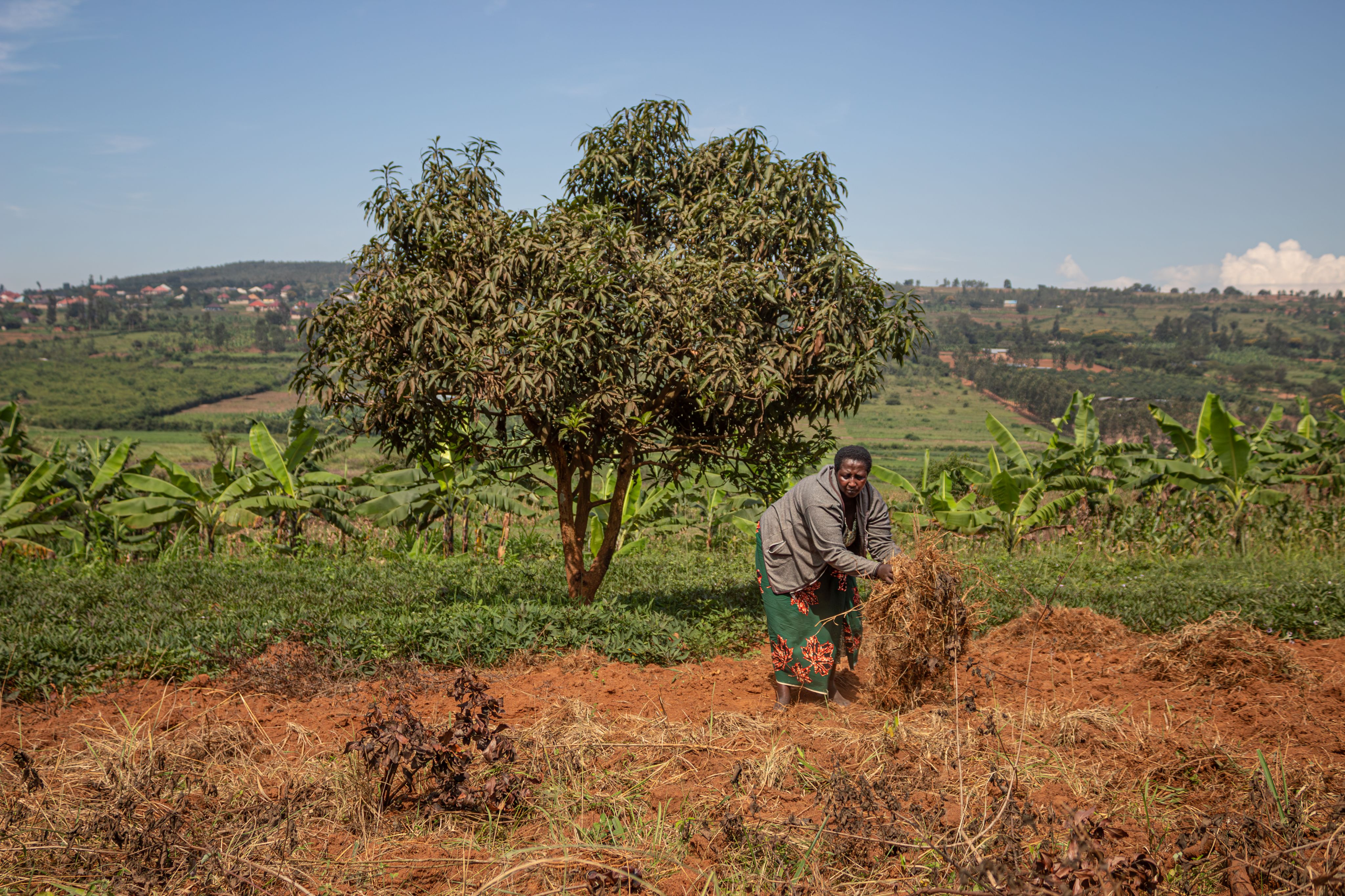 In search of water in Rwanda Bugesera: Clementine Murekeyosi’s story ...