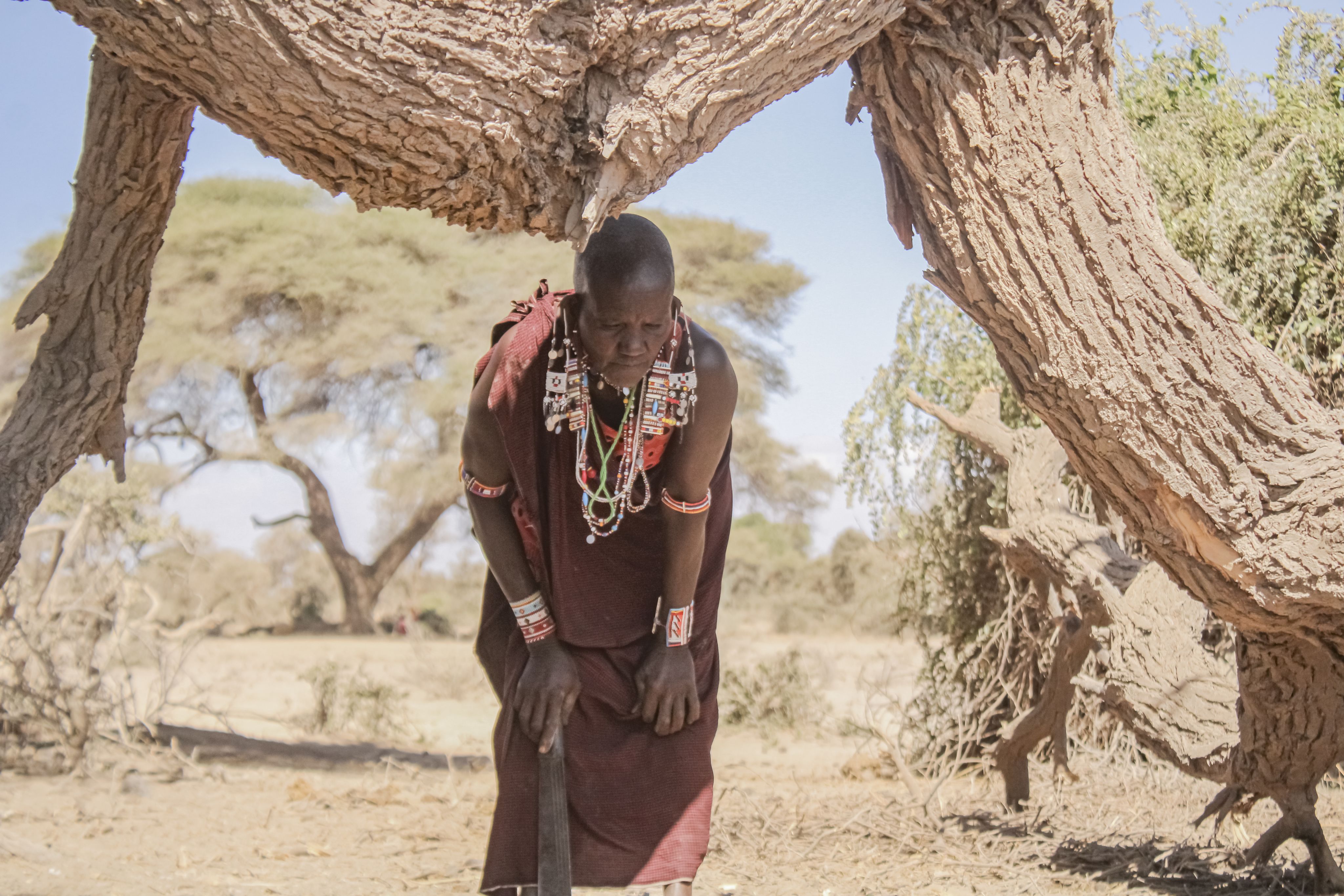My mother in law Pilale Rikoiyan – A matriarch of Climate Resilience ...