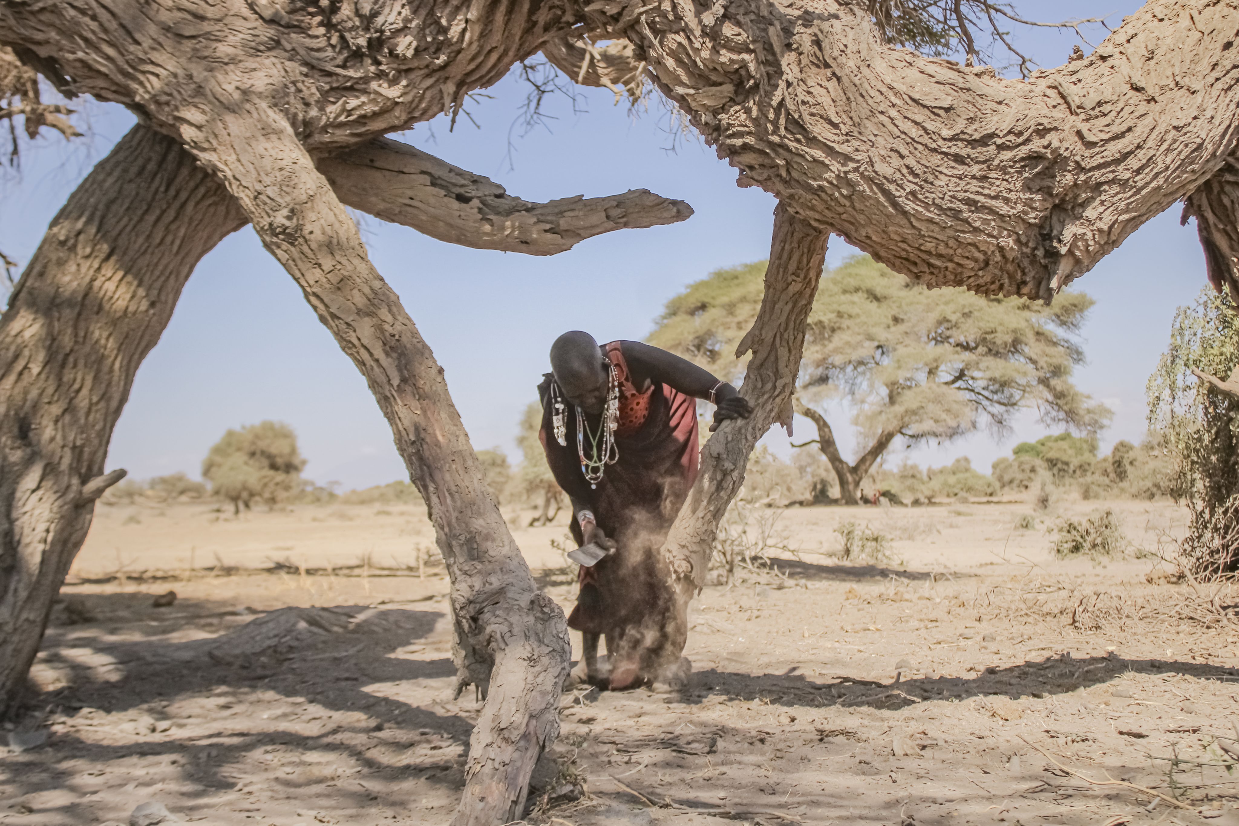My mother in law Pilale Rikoiyan – A matriarch of Climate Resilience ...