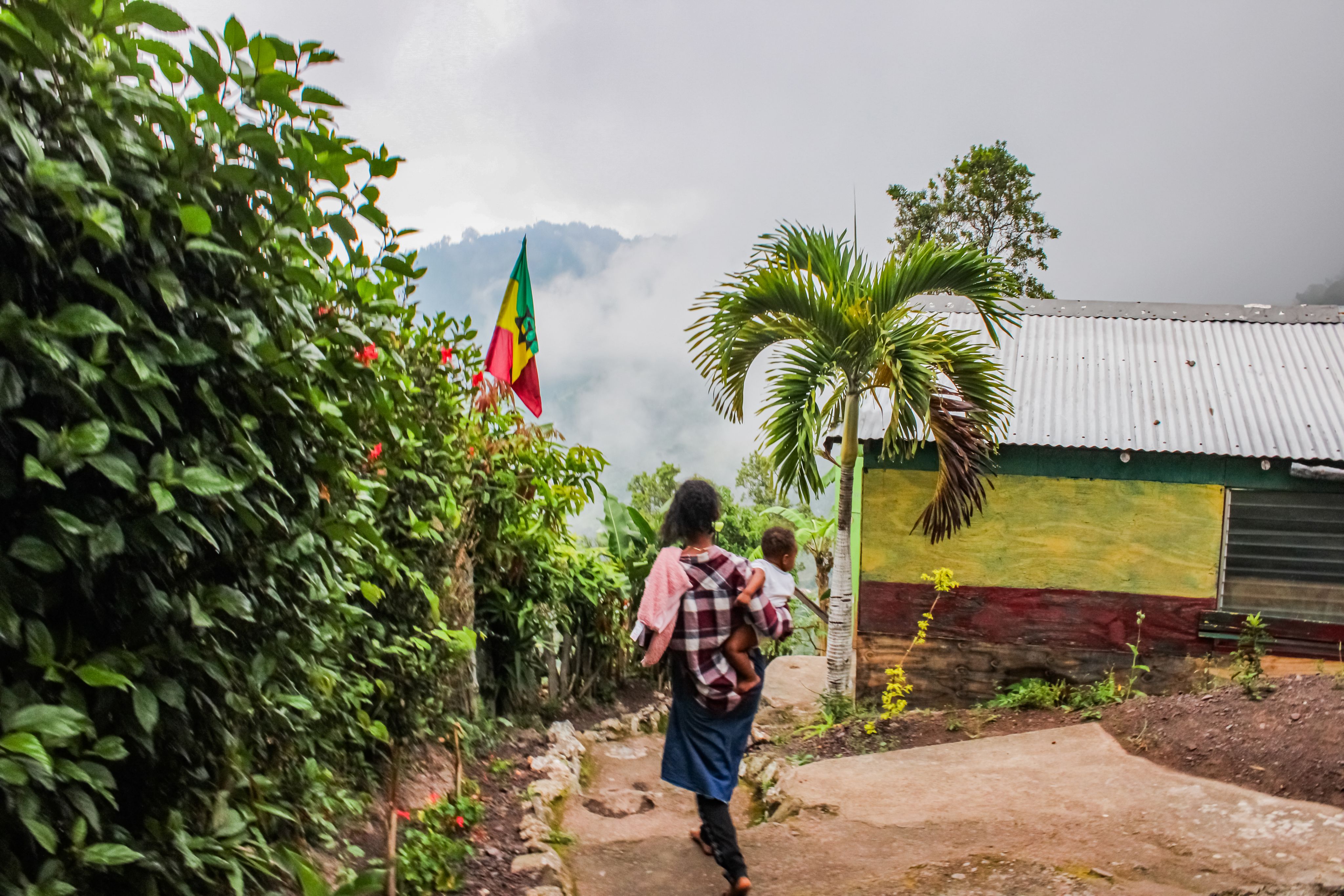 Rastafari resilience in a changing climate - Lensational