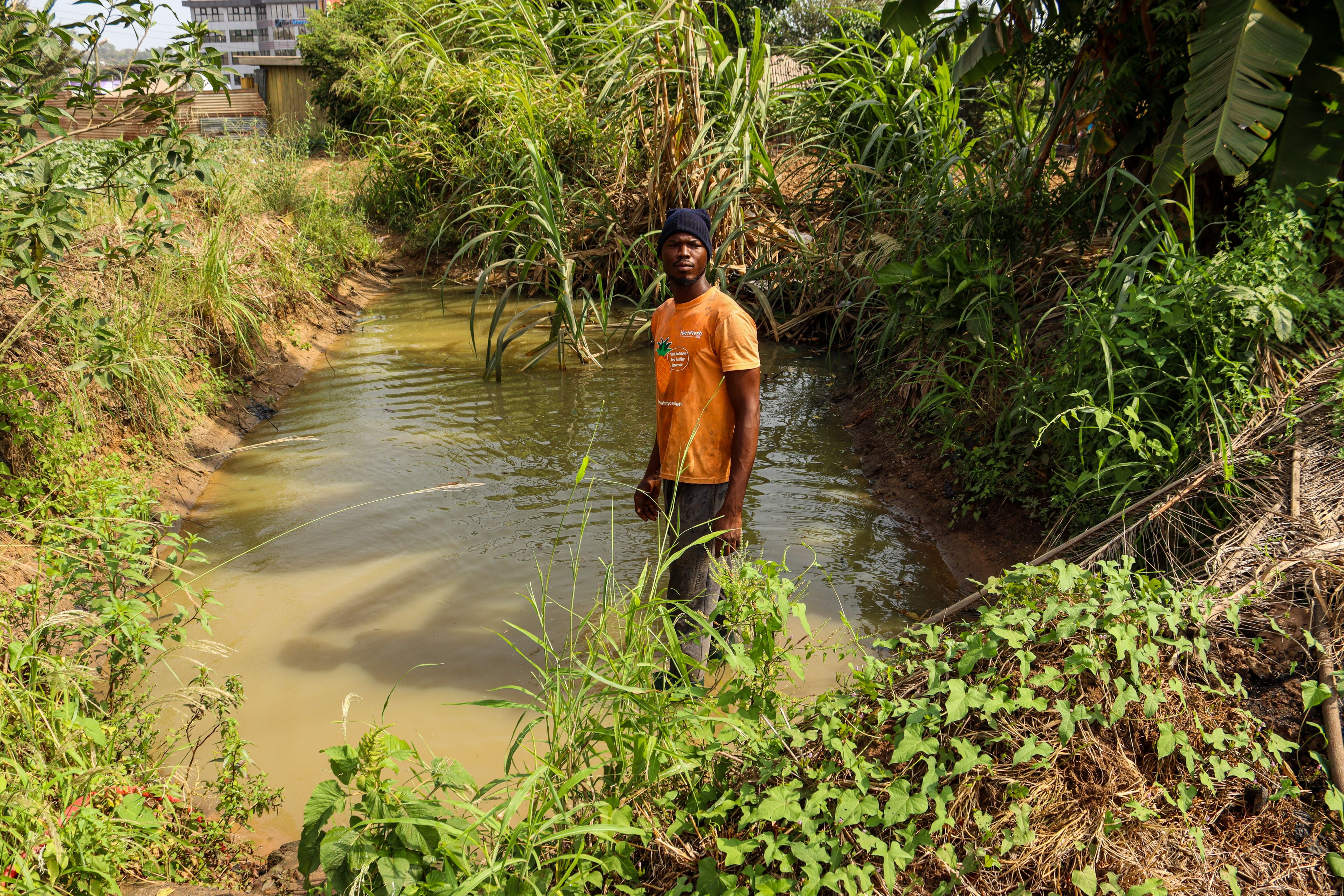The changing face of urban farming in Accra Ghana - Lensational