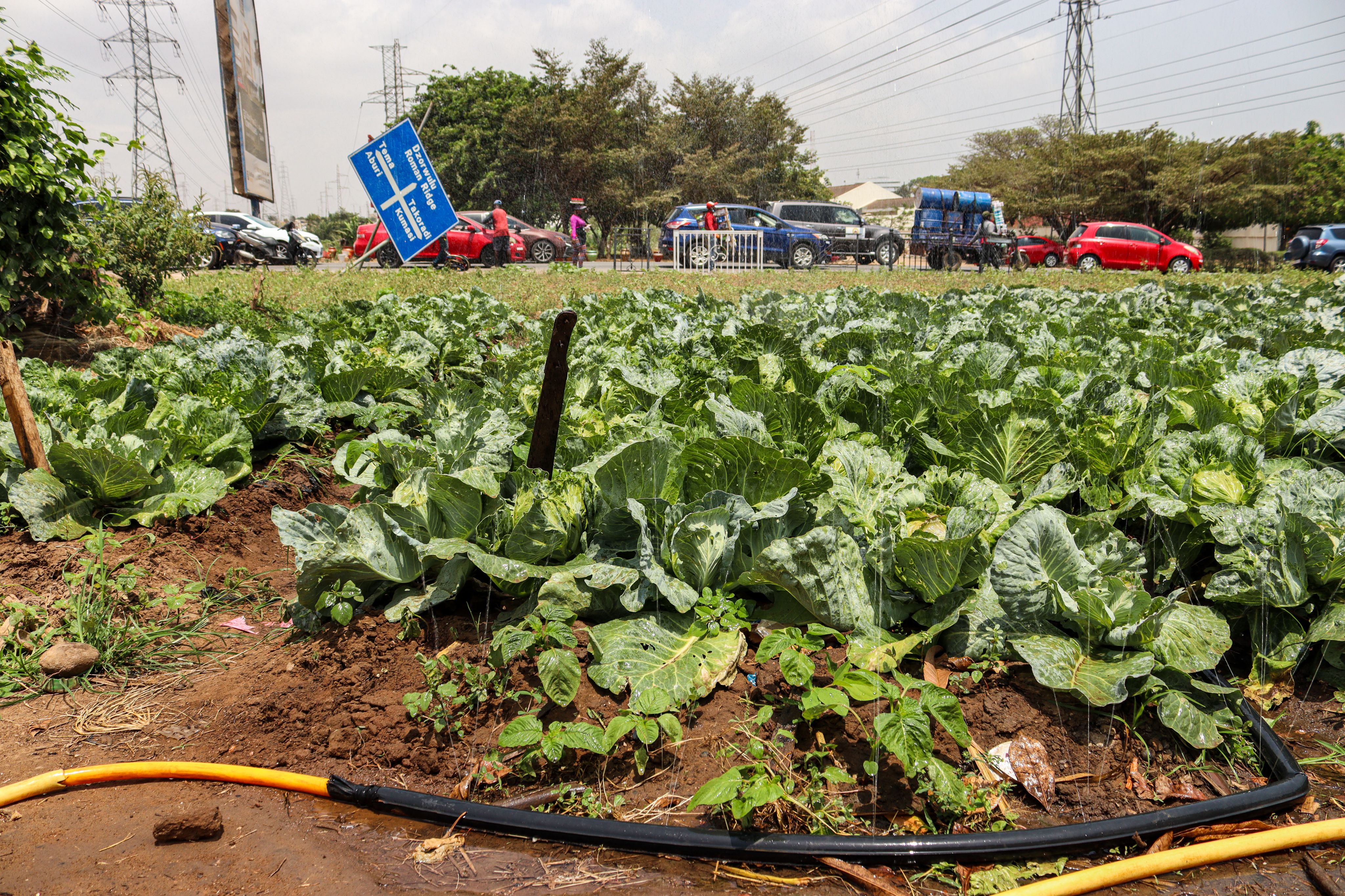 The changing face of urban farming in Accra Ghana - Lensational