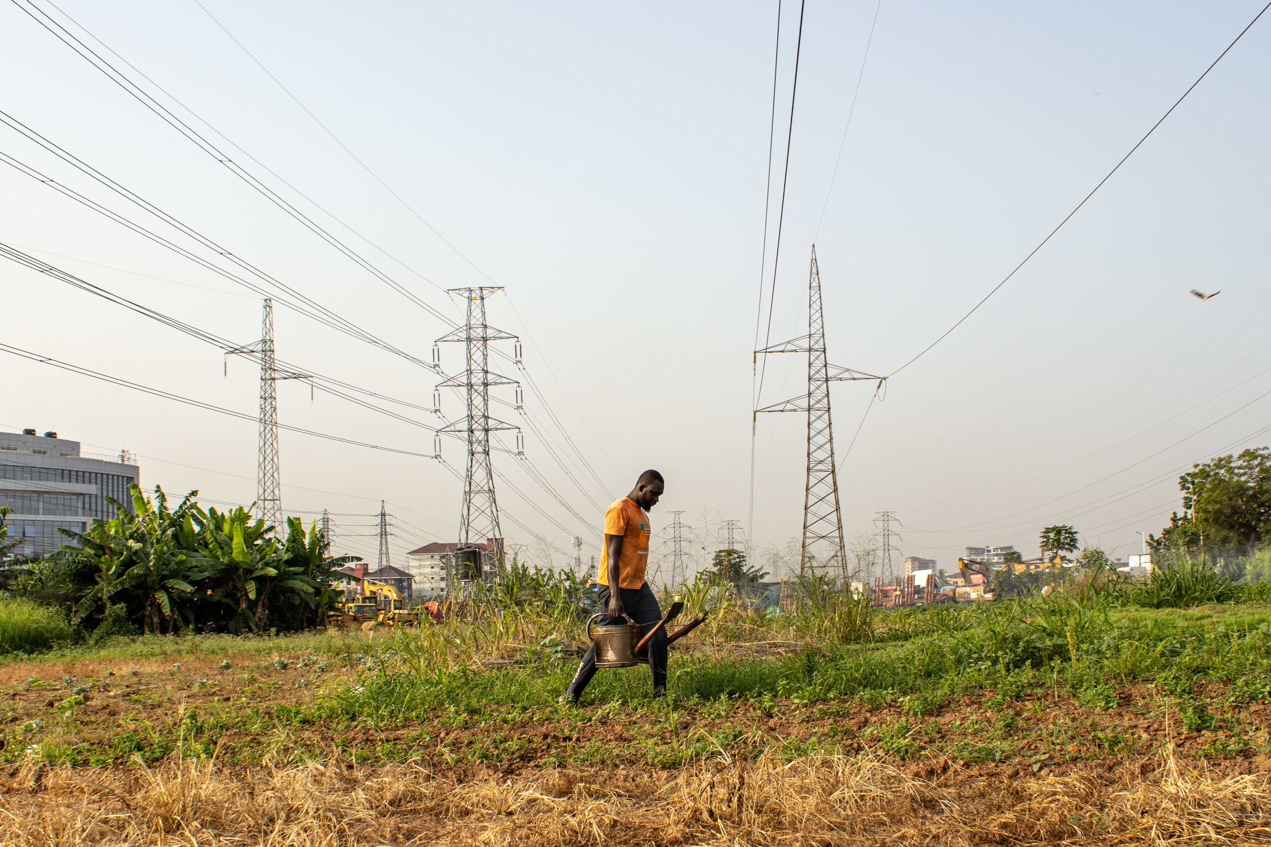 The changing face of urban farming in Accra Ghana - Lensational