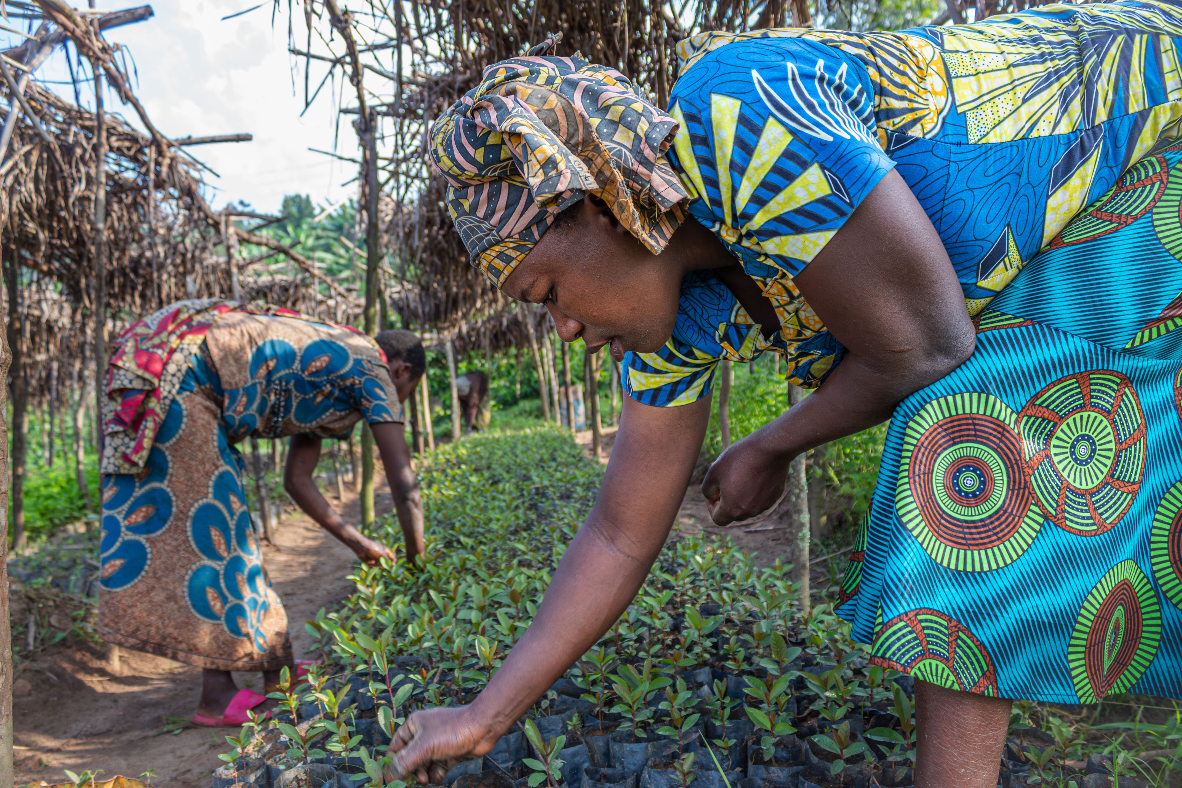 How a farming couple in Rwanda Nyamagabe is adapting to changing ...